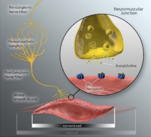 Technology - Nuvaira