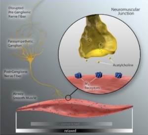 Technology - Nuvaira